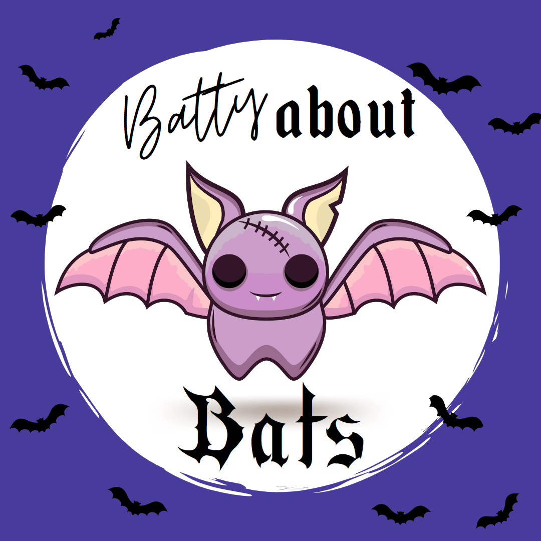 Batty about Bats - October 22 Coven - Spooktacular Subscription Boxes ...